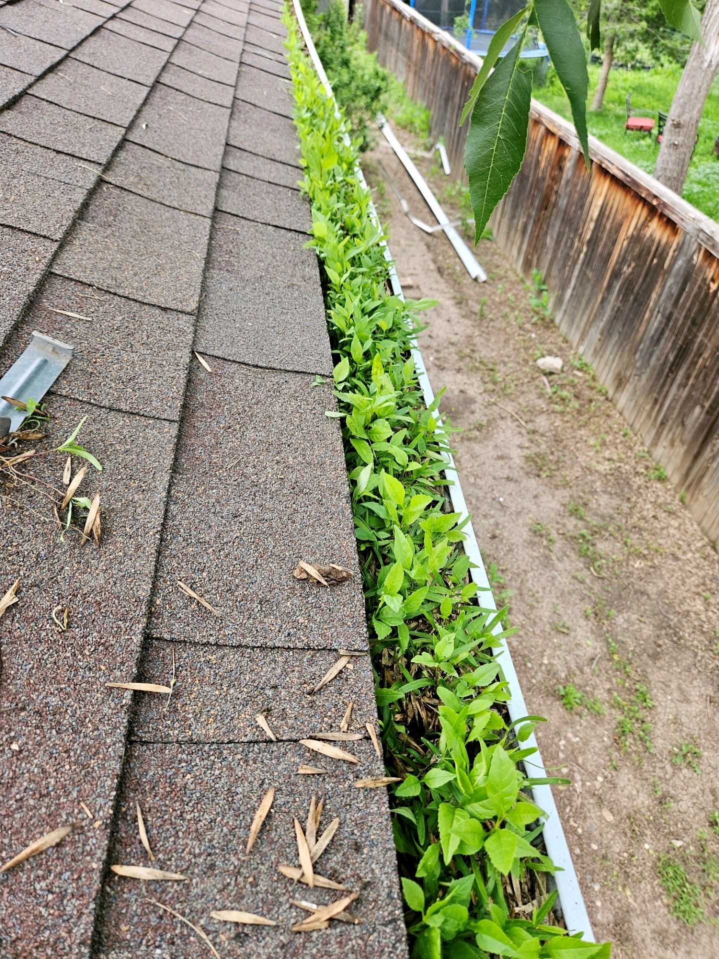 Service Area | Mile High Gutter | Englewood, CO