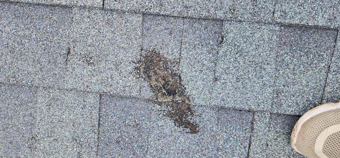 Areas We Serve | Homestead Roofing | Canyon Lake, TX