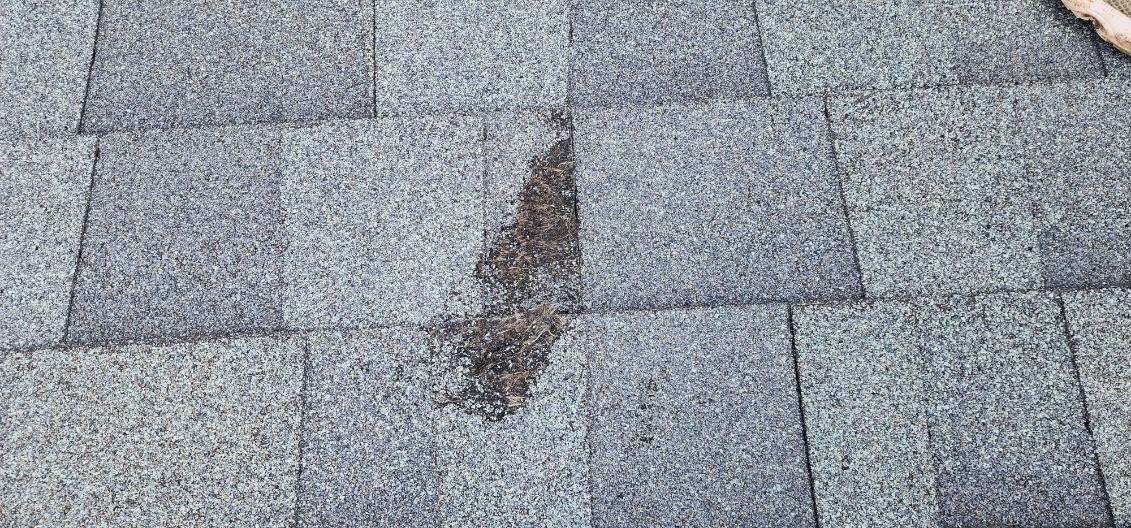 Areas We Serve | Homestead Roofing | Canyon Lake, TX