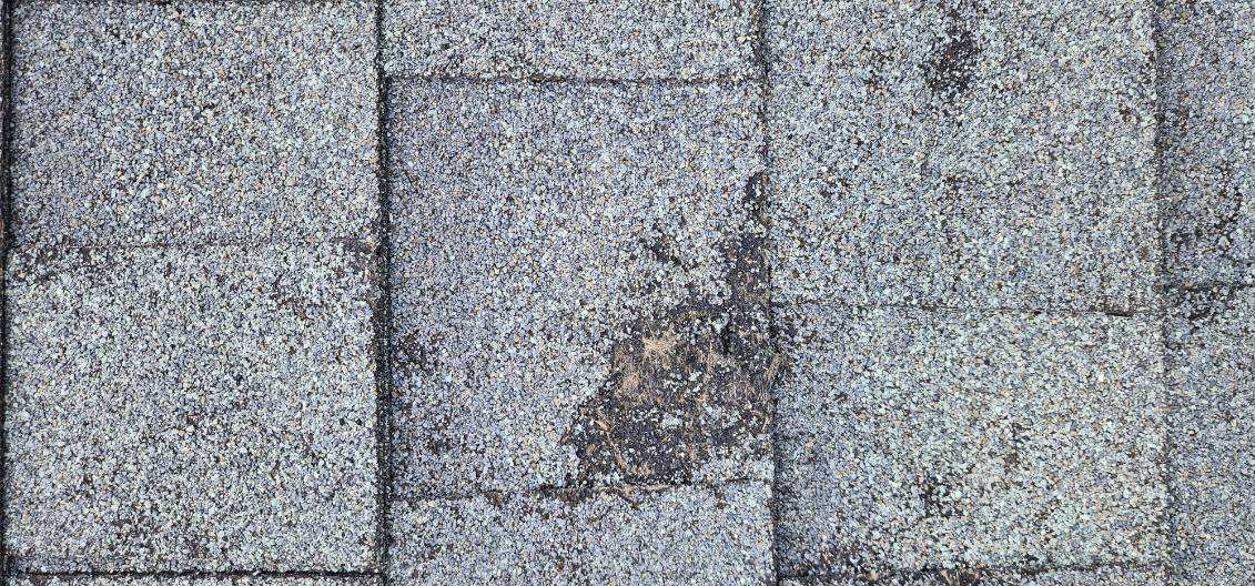 Areas We Serve | Homestead Roofing | Canyon Lake, TX