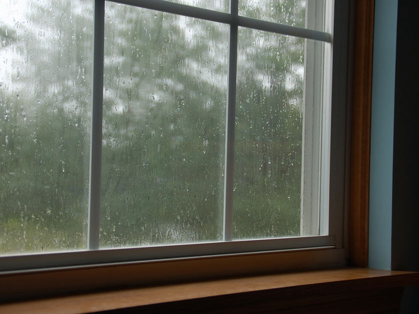 A Guide to Identifying Failed Window Seals