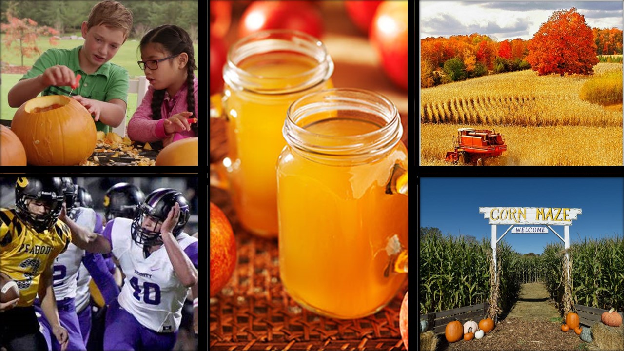 Give your Furnace a Fall Tune Up | Danny Larcom Heating & Air Inc